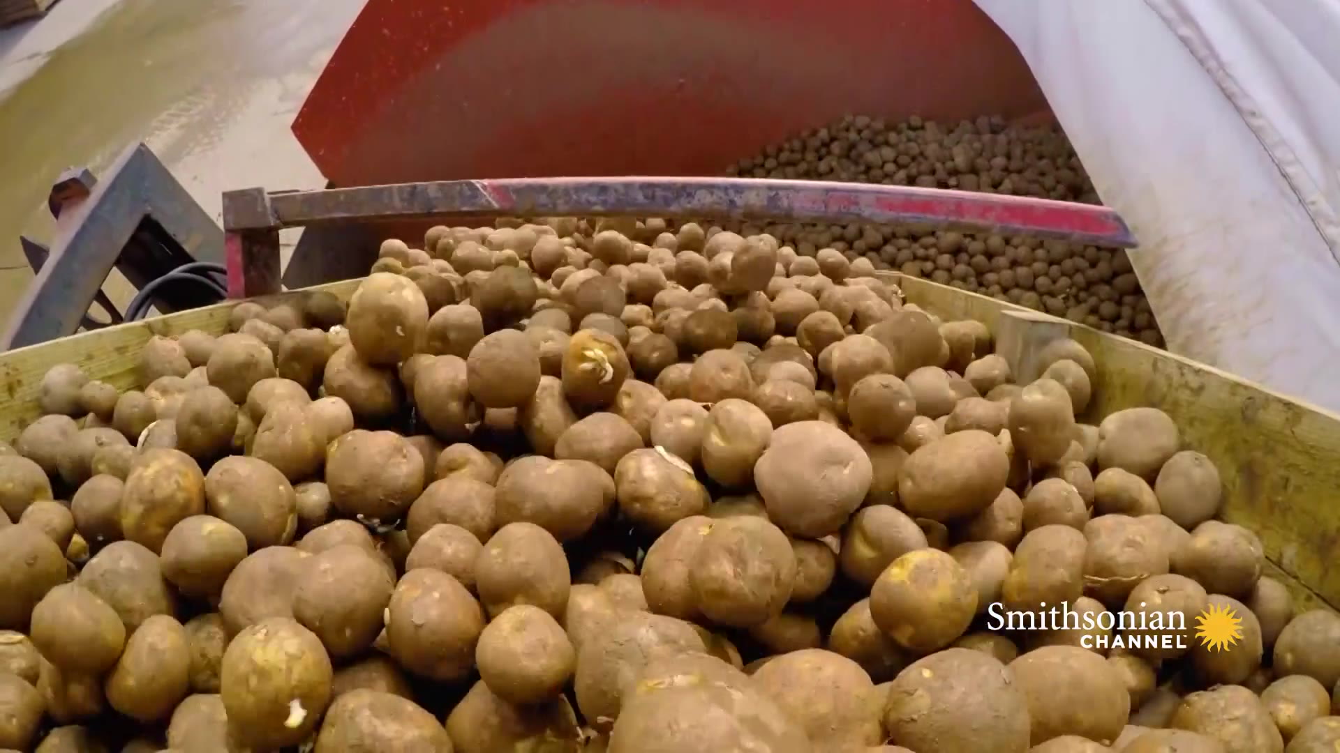 This Farm Helps Make 2 Million Potato Chip Packets a Day Smithsonian ...
