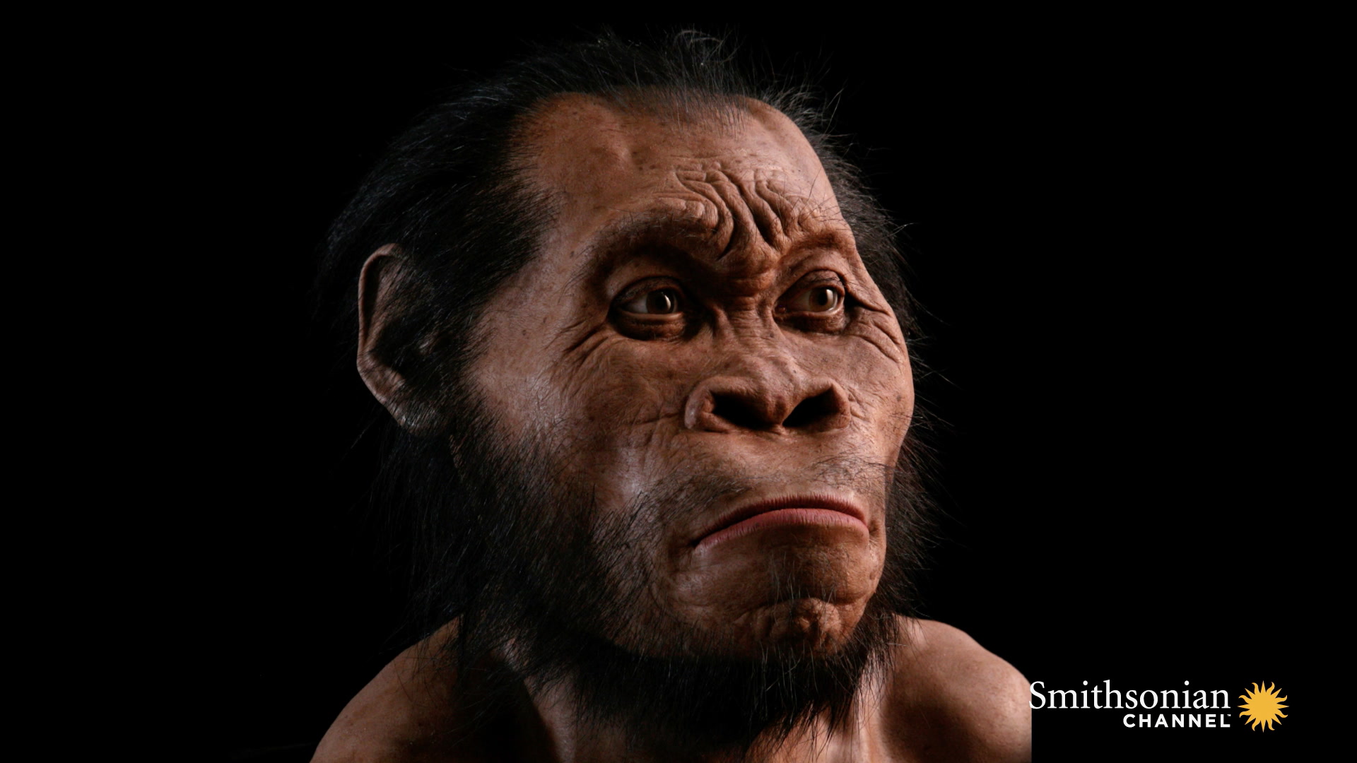A Brand New Humanoid Species Is Discovered In a Cave Smithsonian Magazine